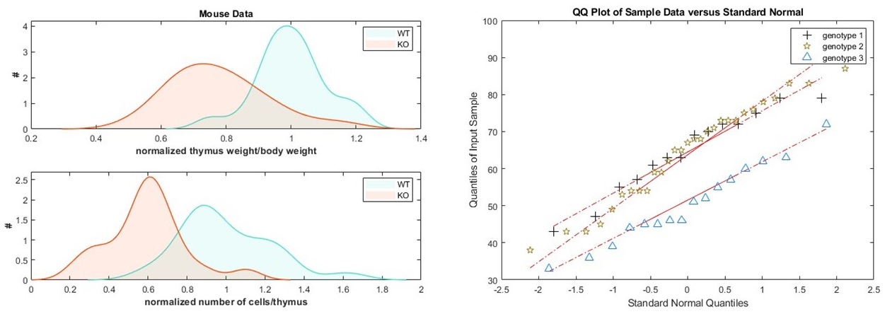 Introduction to Matlab – Graduate school of Quantitative Biosciences Munich